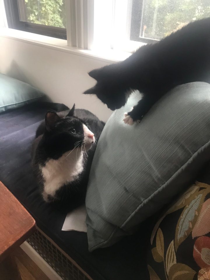 Balloon Juice - Always Be Grifting