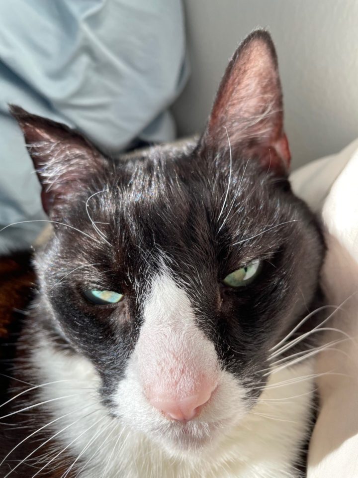 Balloon Juice - Always Be Grifting